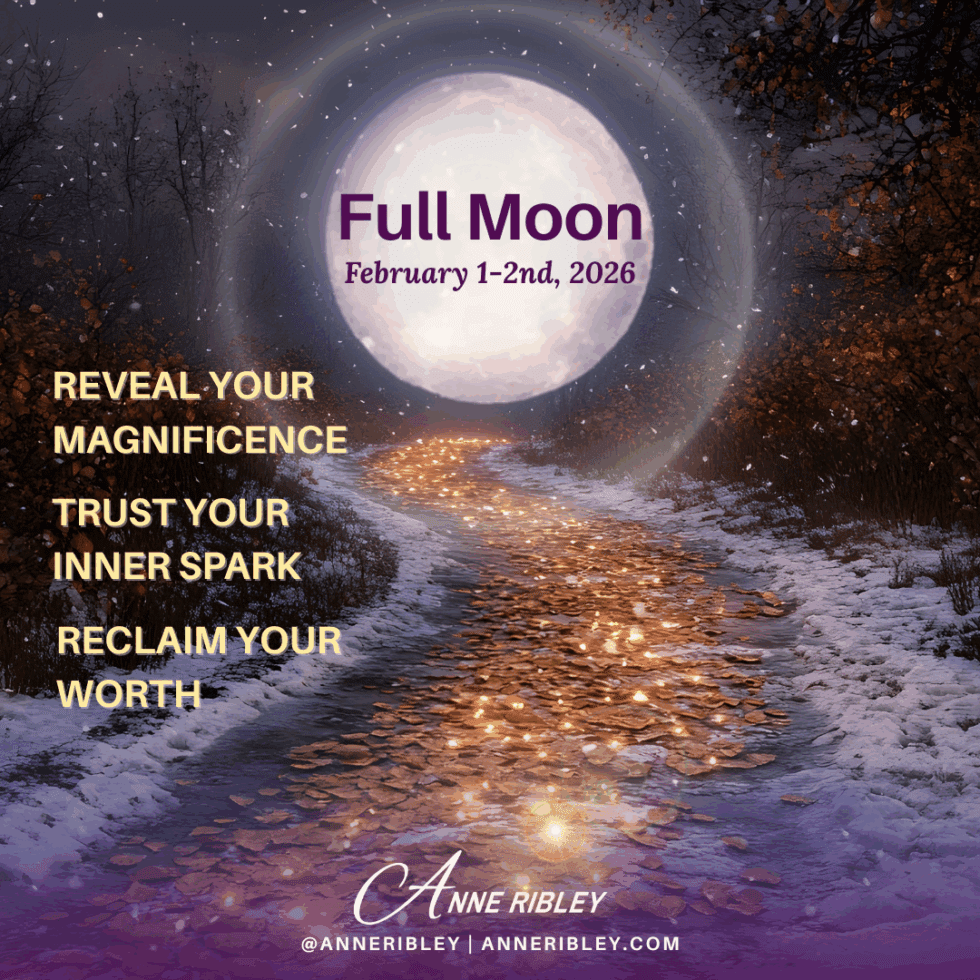 February Full Moon Insider 2026